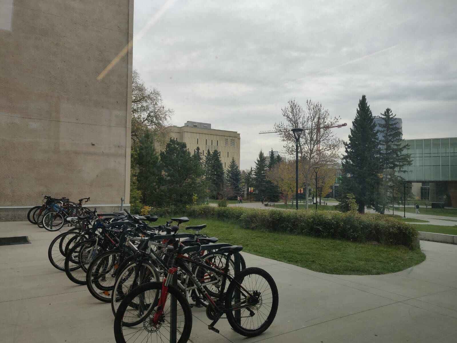 University of Calgary: Admissions 2026, Fees, Rankings, Scholarships ...