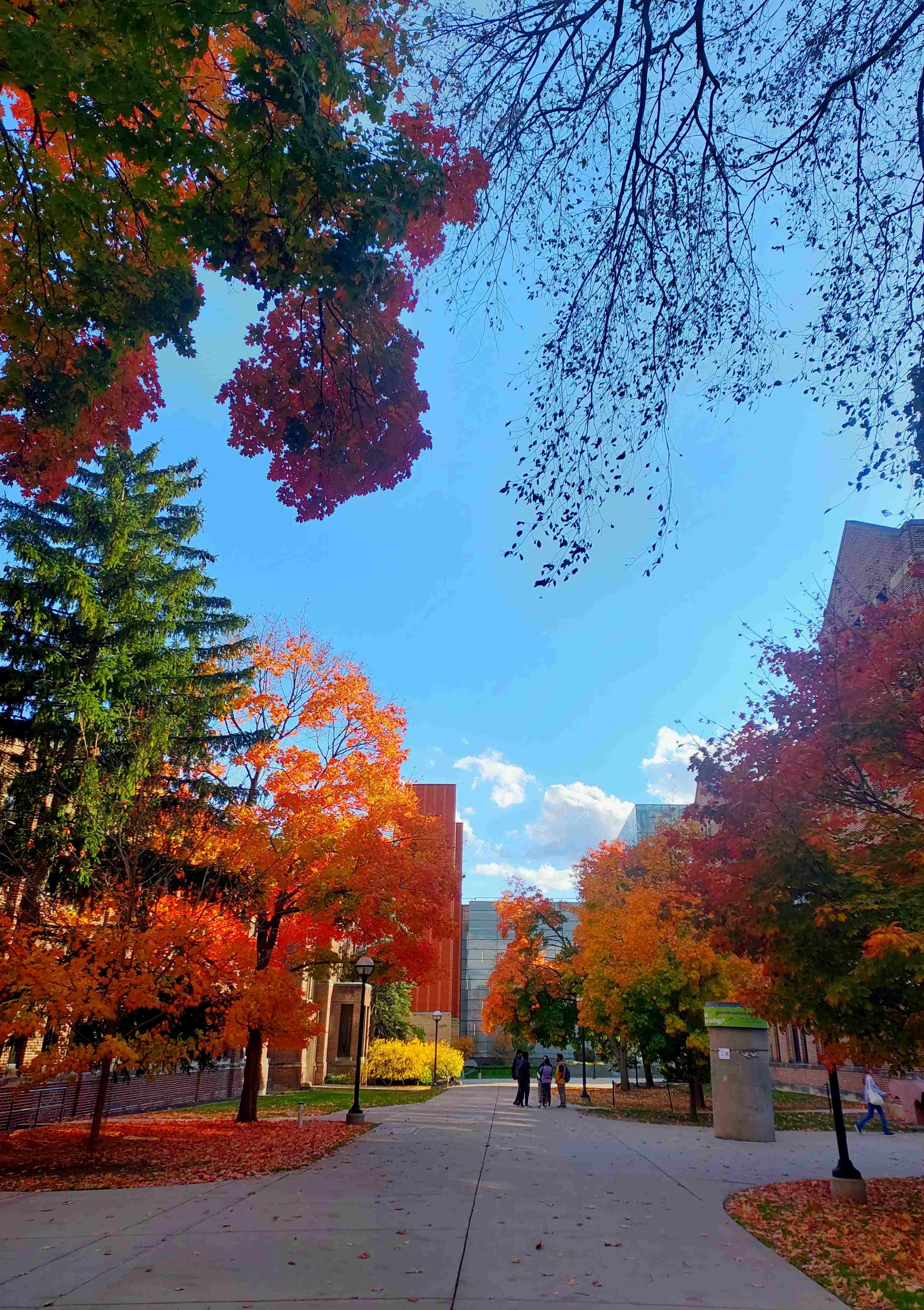 University of Michigan, Ann Arbor: Fees 2026, Scholarship, Acceptance ...