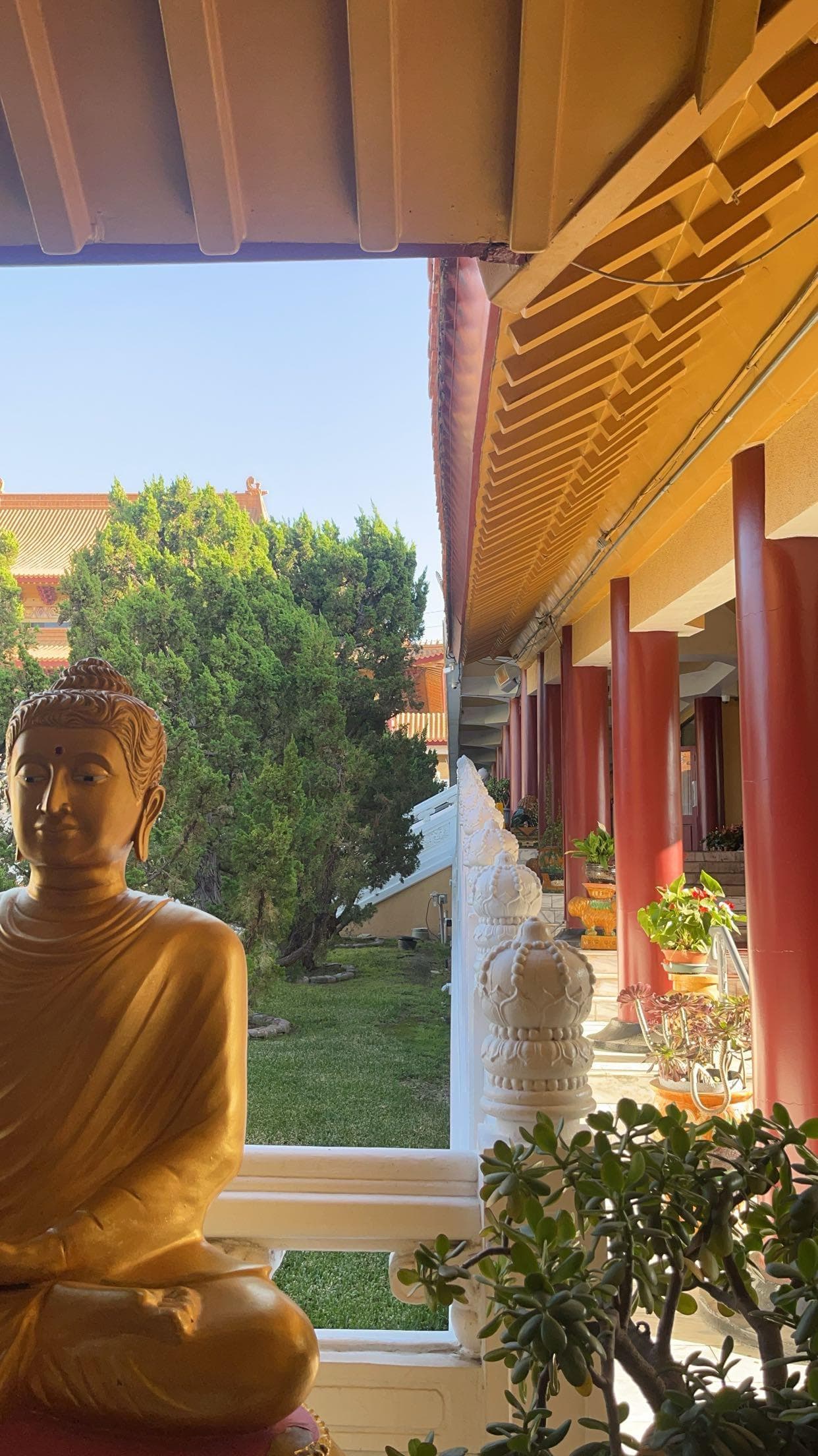 California State University Long Beach (CSULB) 2025 Rankings: Subject ...