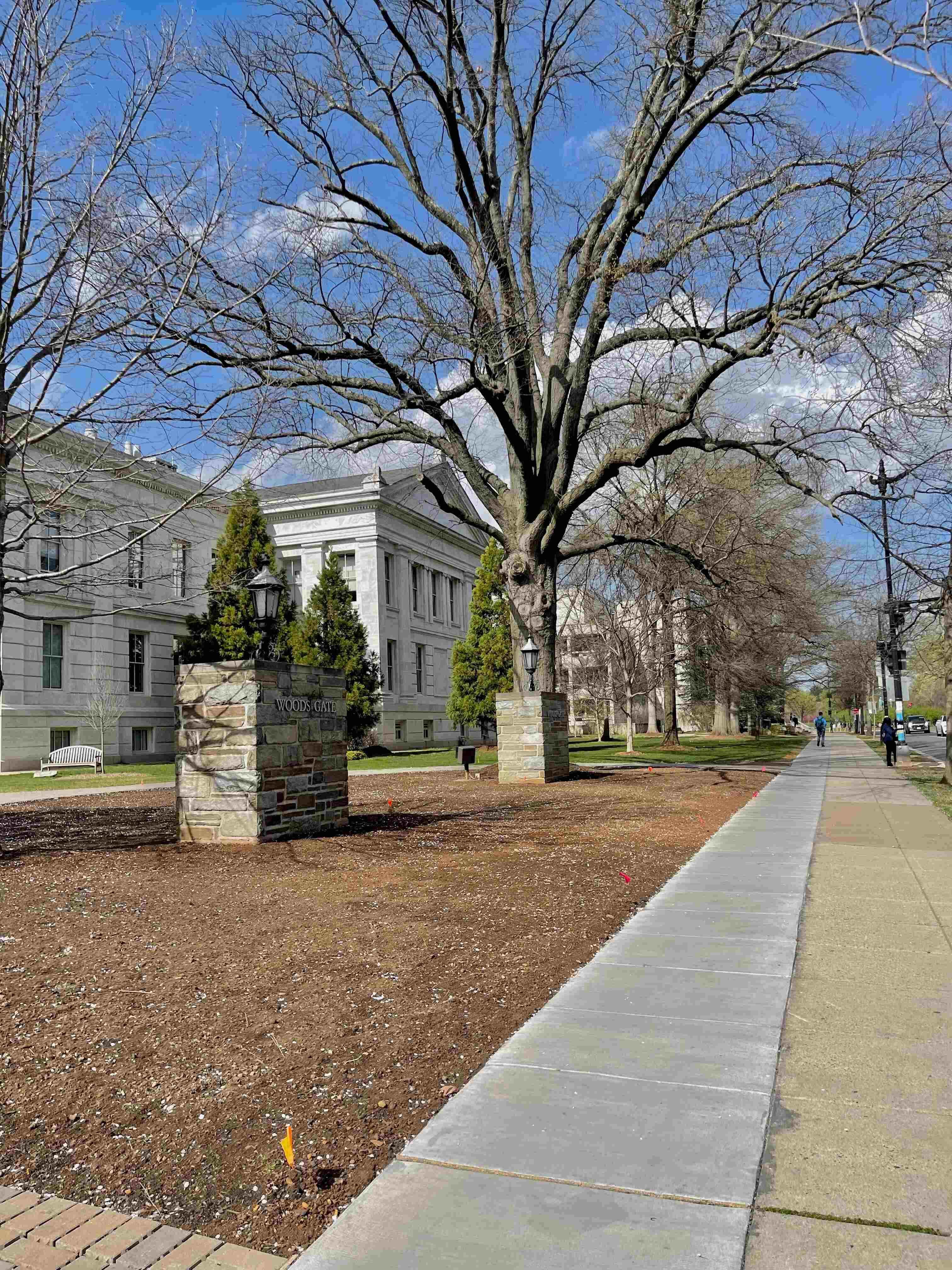 American University (AU) Admissions 2026: Application Deadline ...