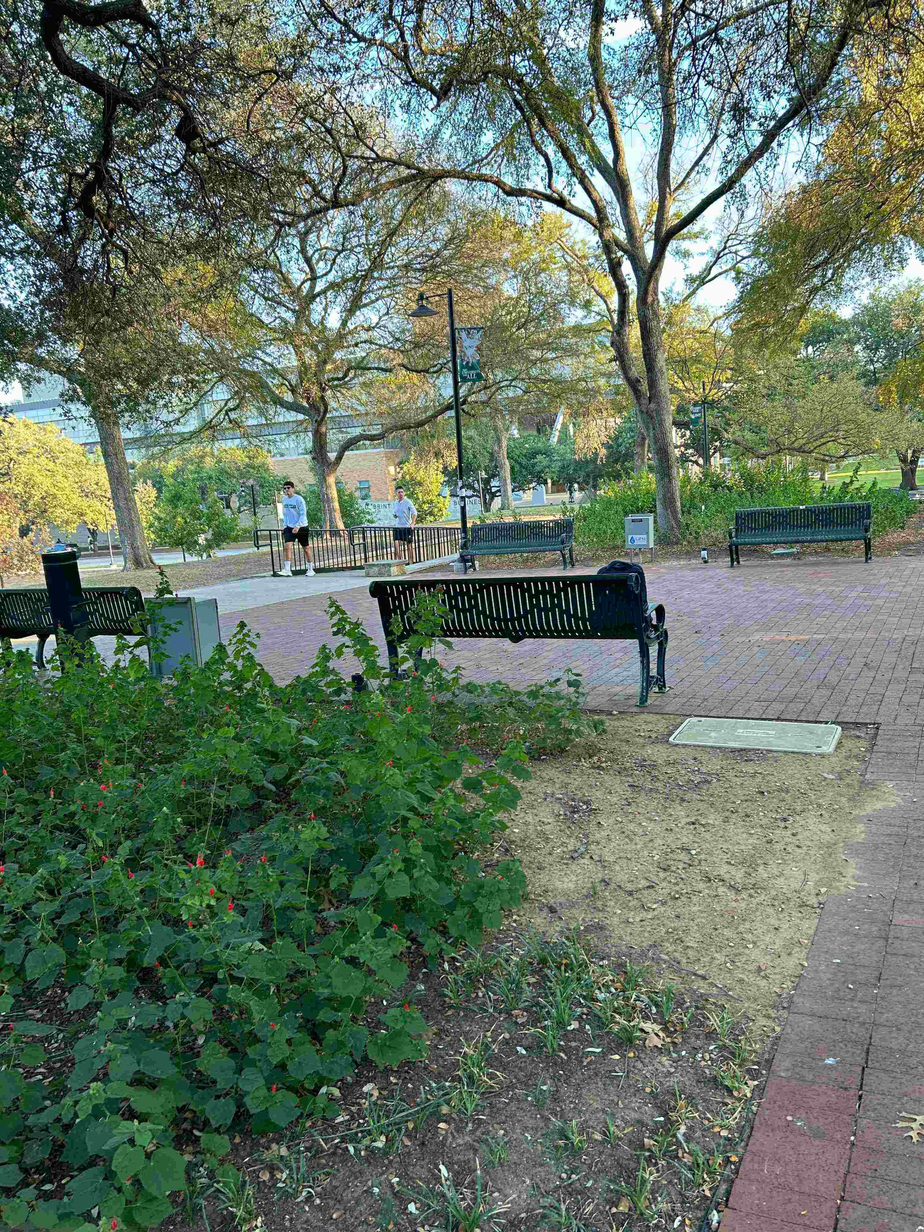 University of North Texas Admissions 2026: Application Deadline ...